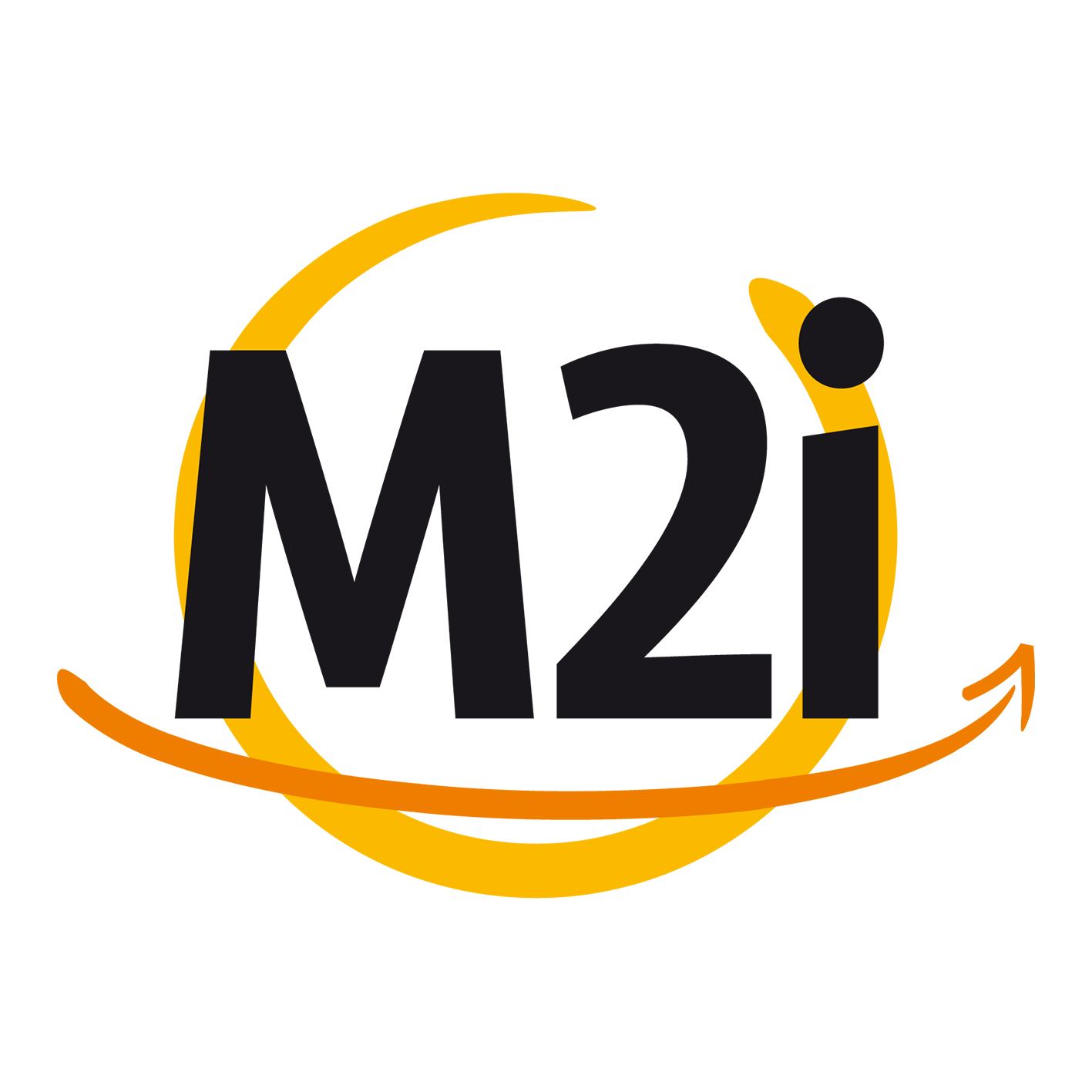 M2i | Master Management Interculturel et International